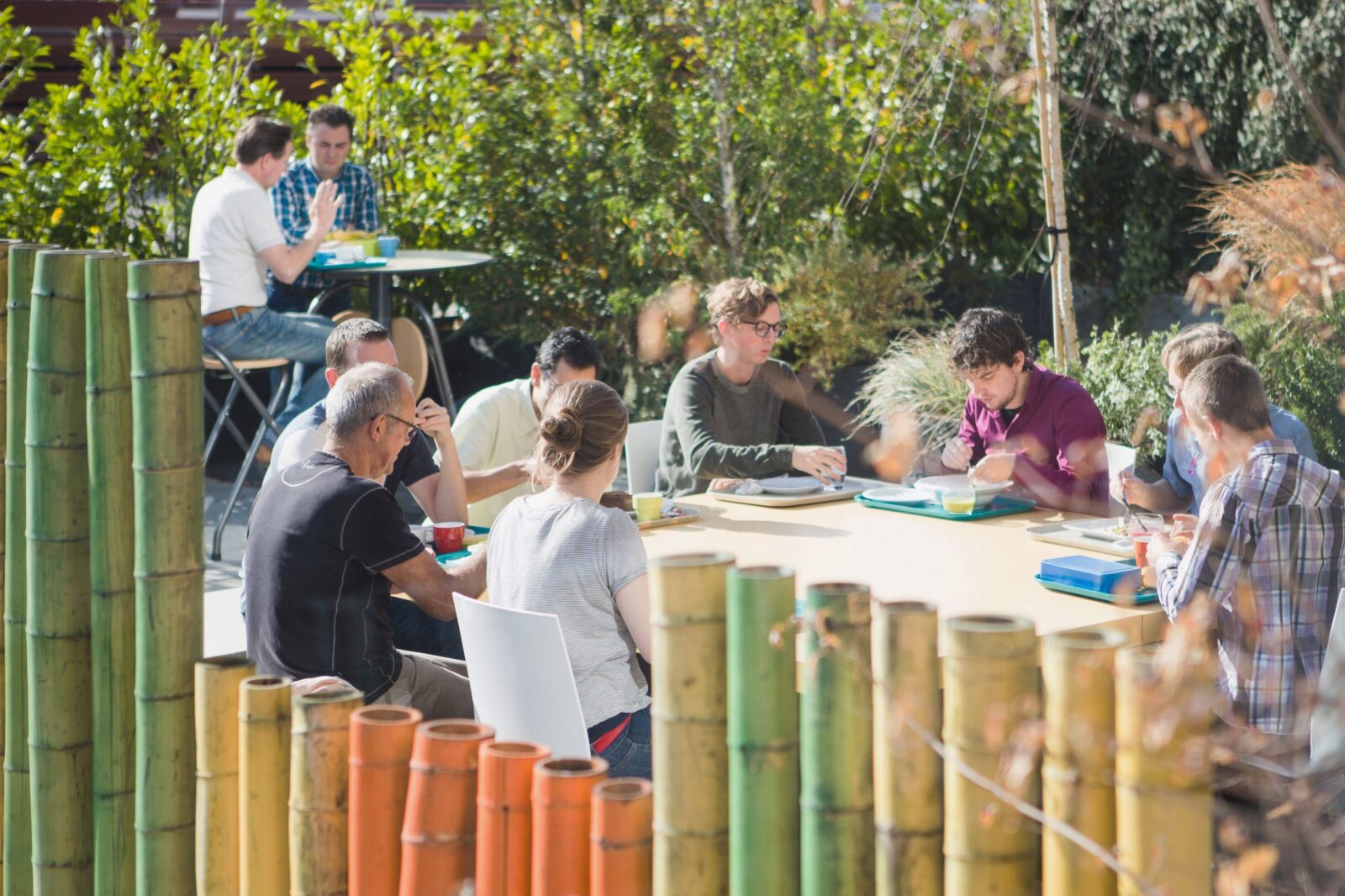 Your career - Technolution